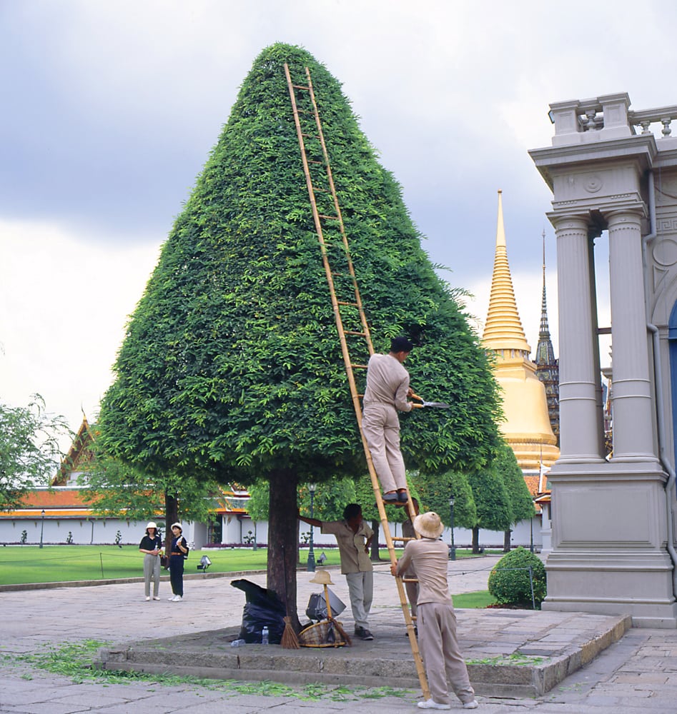 Architecture - WAGNER PHOTO-GRAFX